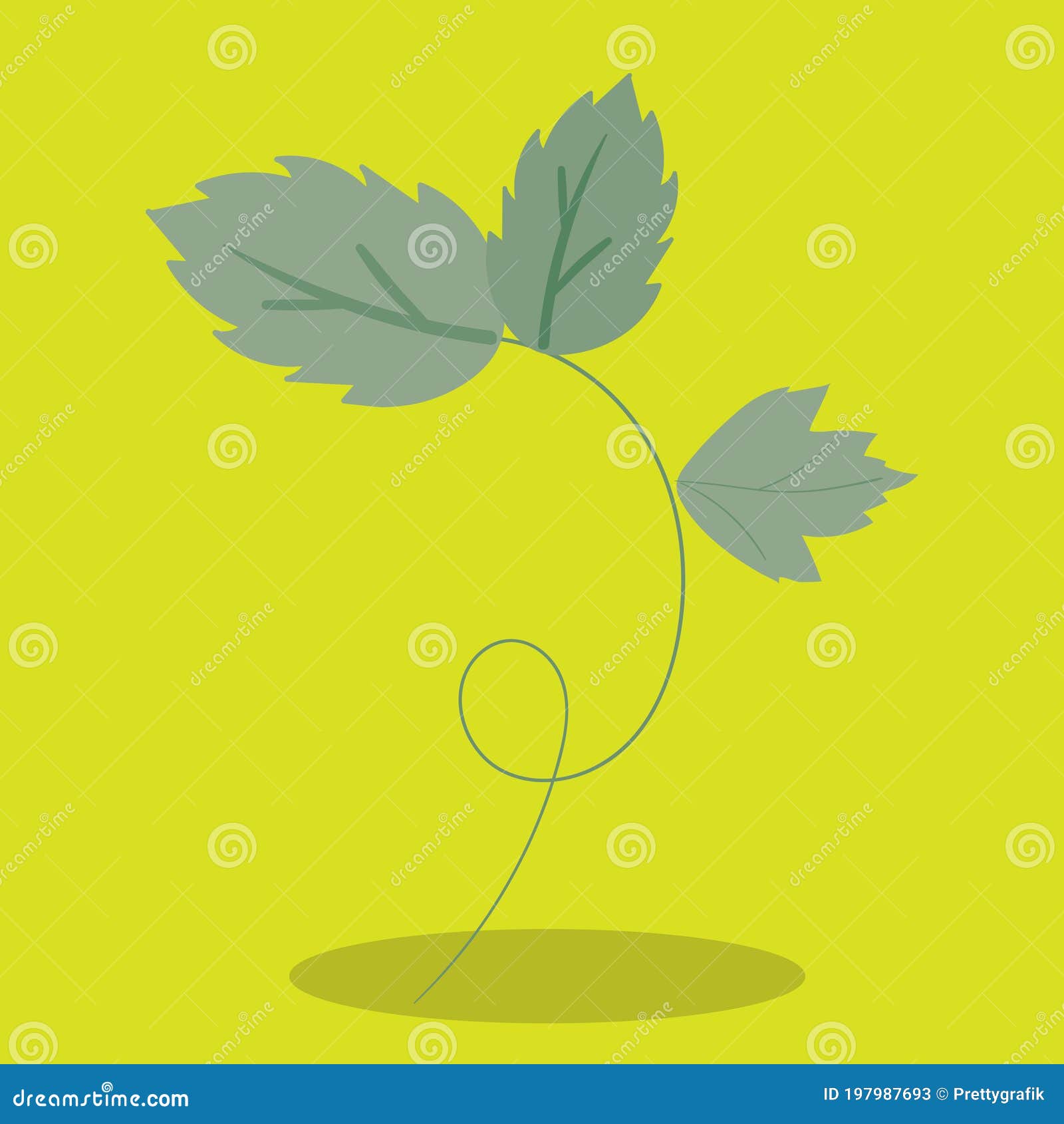 Pumpkin leaf 12 stock vector. Illustration of vector - 197987693