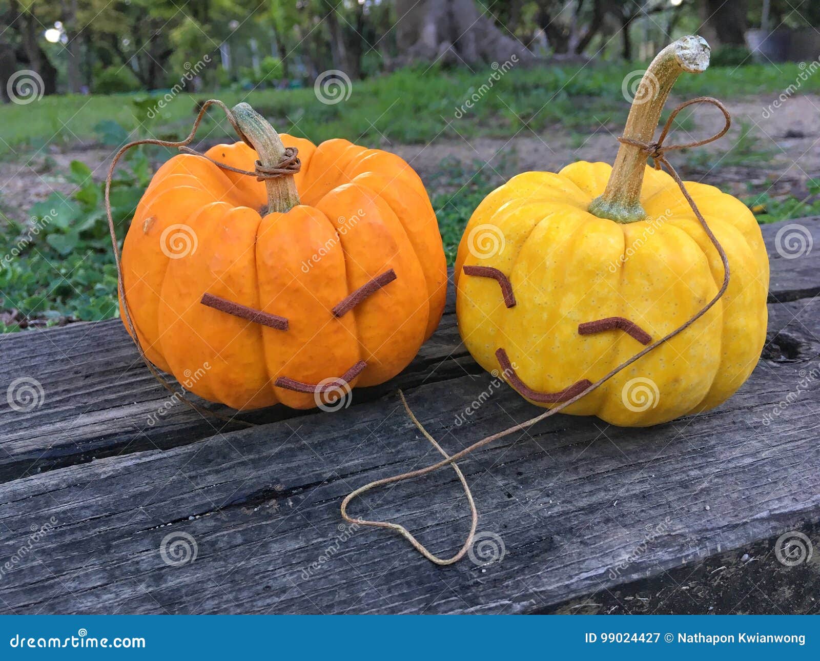 Pumpkin lover stock image. Image of couple, lover, sign - 99024427