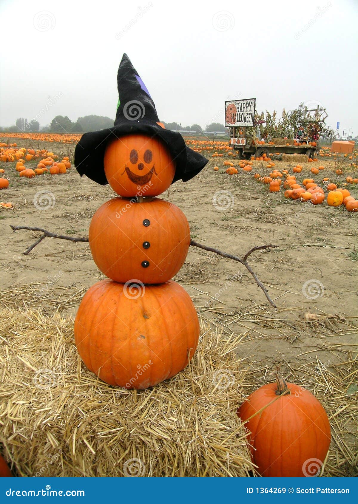Pumpkin Man stock image. Image of balanced, halloween - 1364269