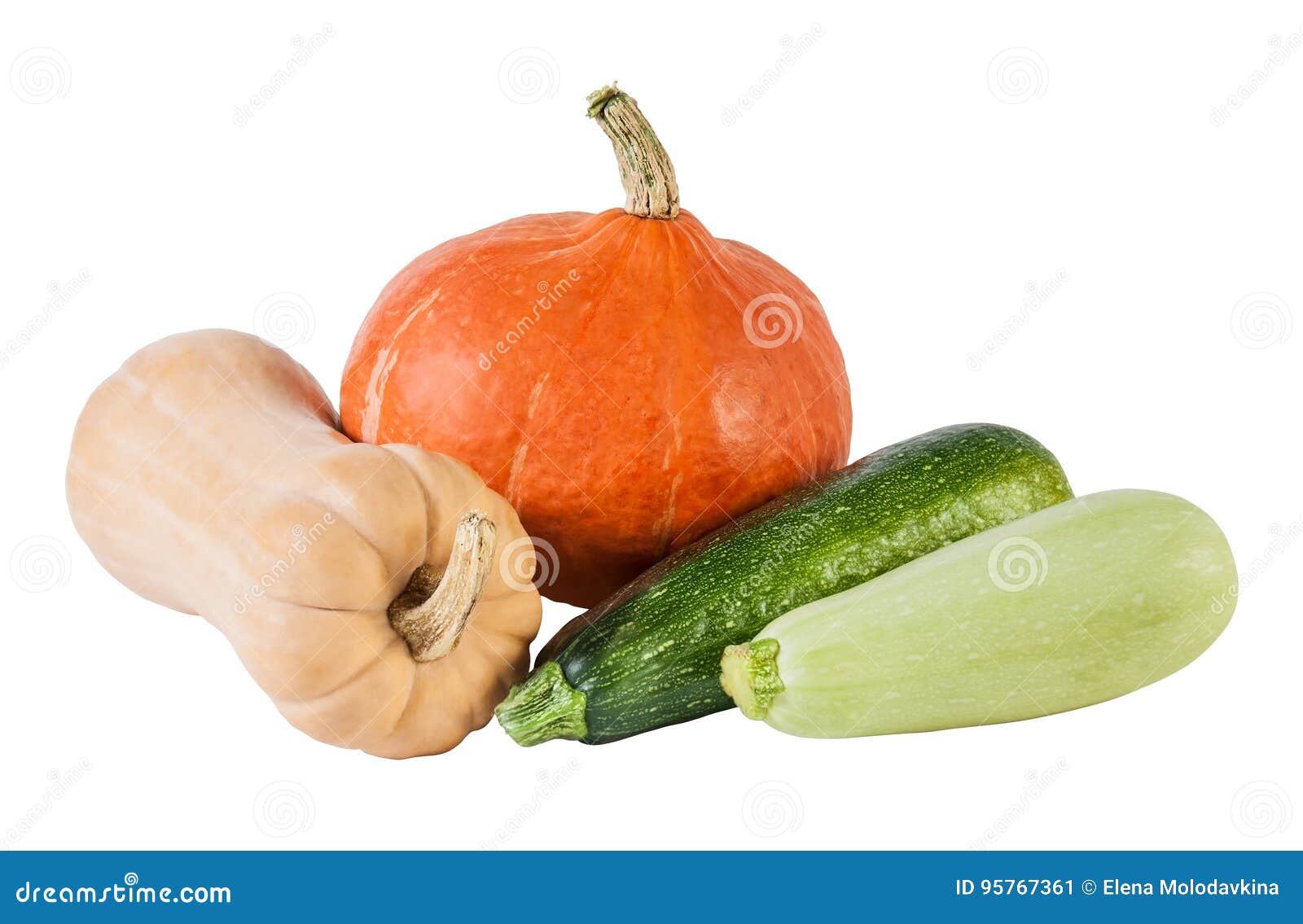 Pumpkin, Marrow and Zucchini Isolated on White Stock Image - Image of ...