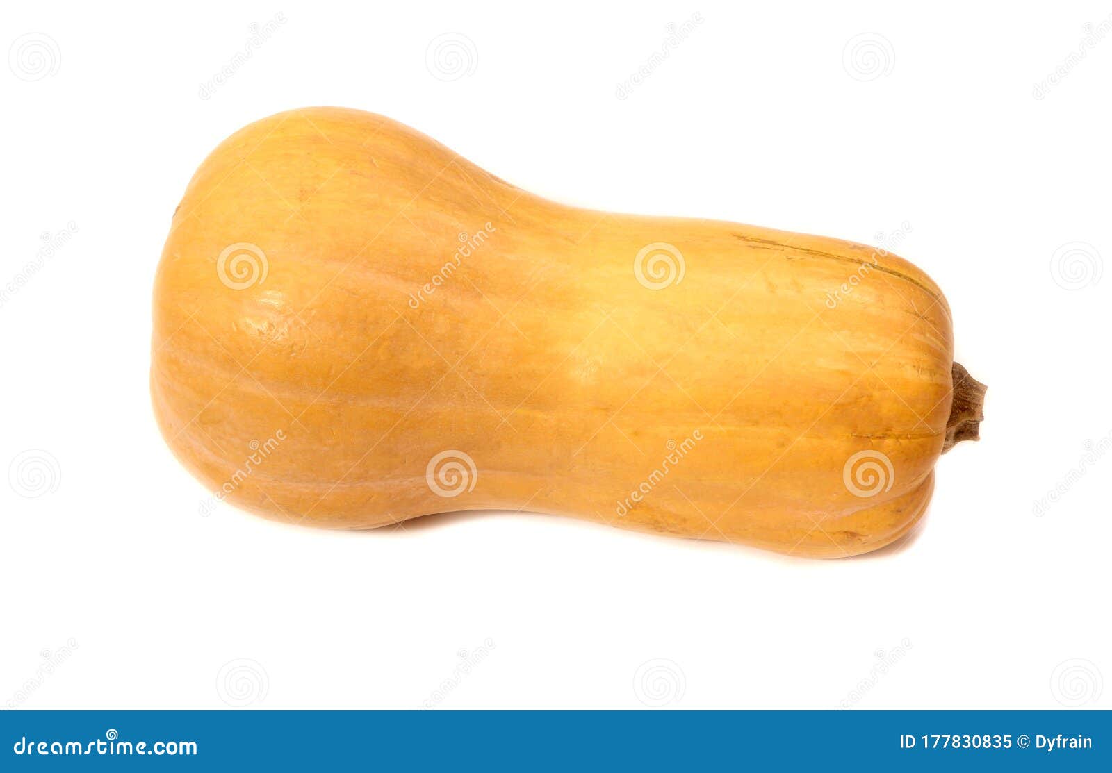 A Pumpkin Matilda Isolated on a White Background Stock Image - Image of ...