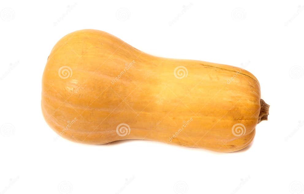 A Pumpkin Matilda Isolated on a White Background Stock Image - Image of ...