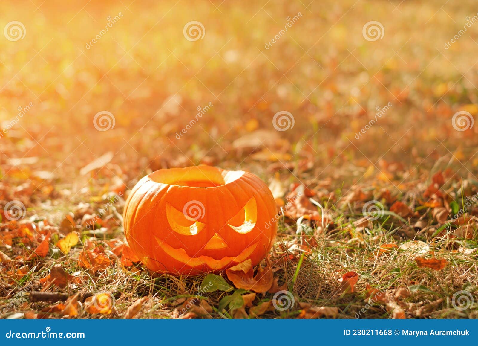 Pumpkin with an Ominous Expression on the Ground in the Dry Leave Stock ...