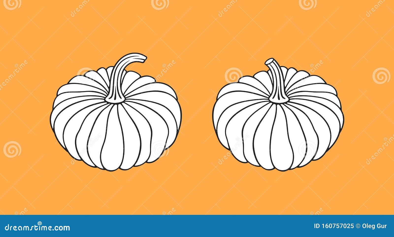 Pumpkin Outline. Isolated Pumpkin on White Background Stock Vector ...