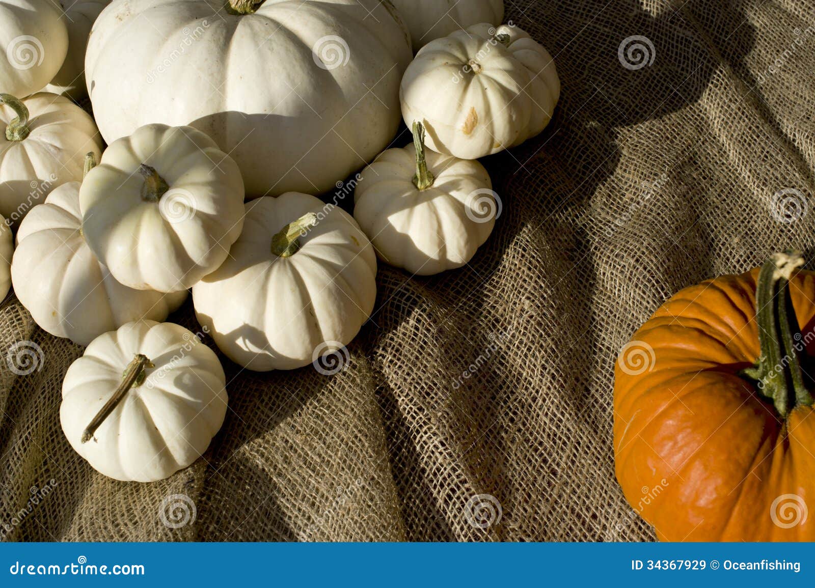 Pumpkin stock image. Image of brown, yellow, green, food - 34367929