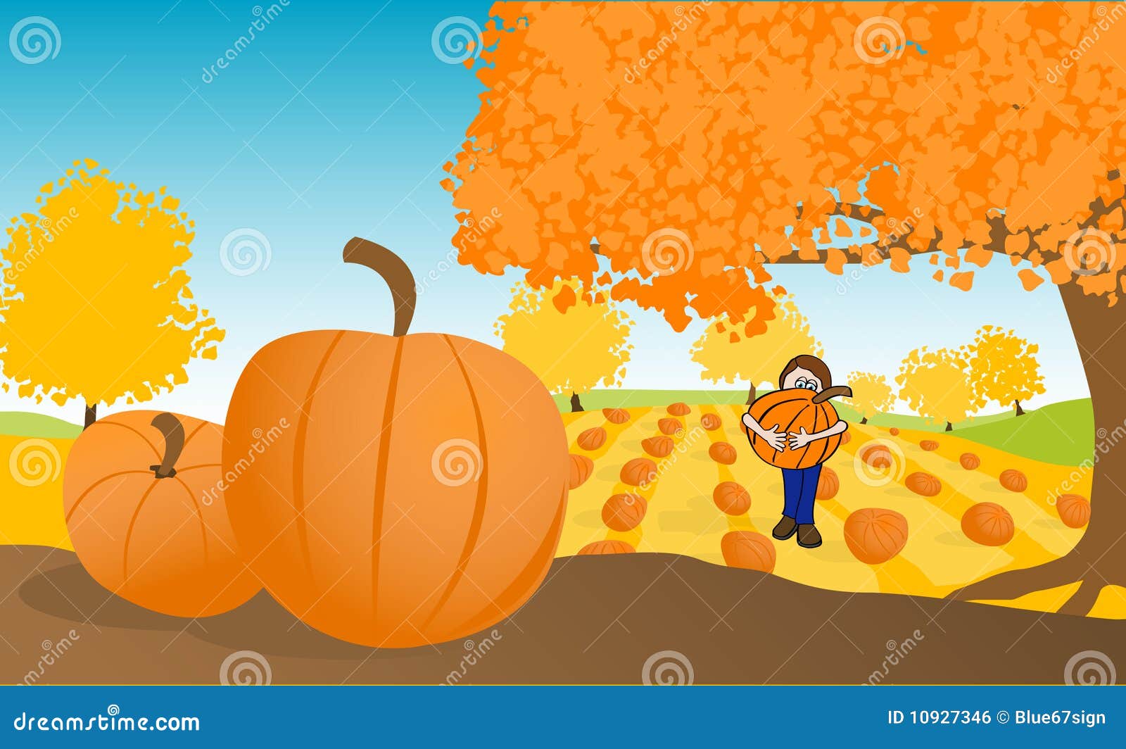 Pumpkin Patch stock vector. Illustration of october, male - 10927346