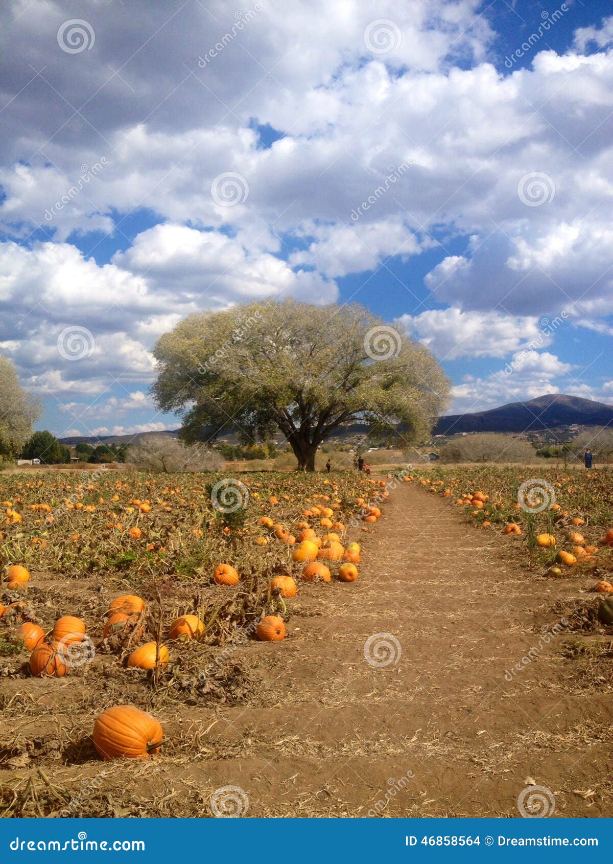 Prescott Az Fall Stock Photos - Free & Royalty-Free Stock Photos from ...