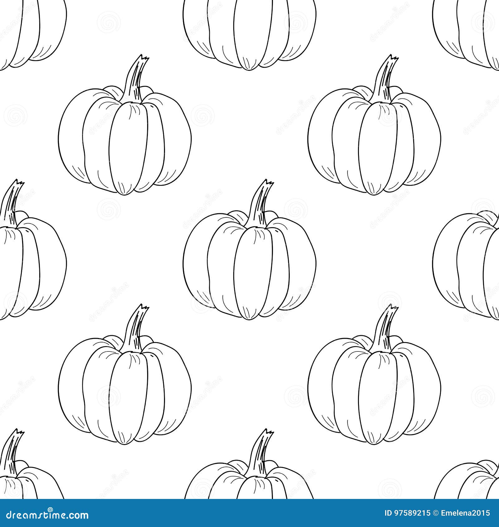 Pumpkin Pattern. Vector Contour Graphic on White Background Stock ...