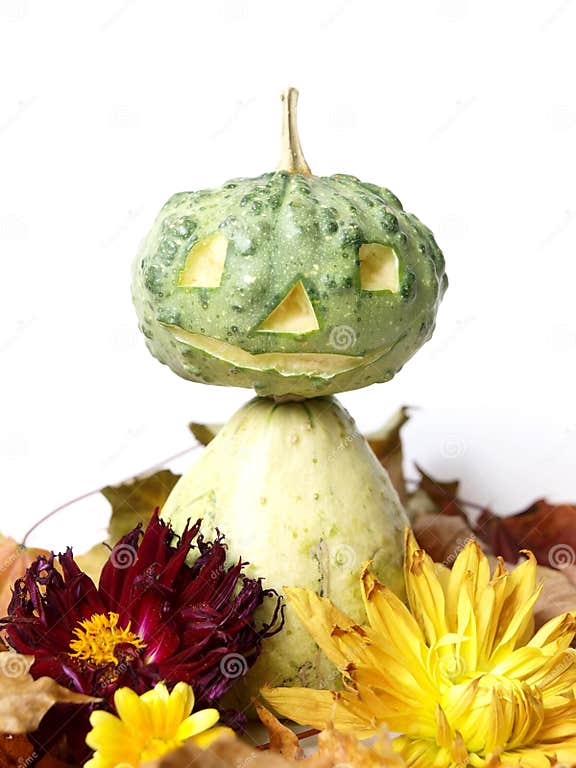 Pumpkin Person stock image. Image of happy, season, scary - 11052501