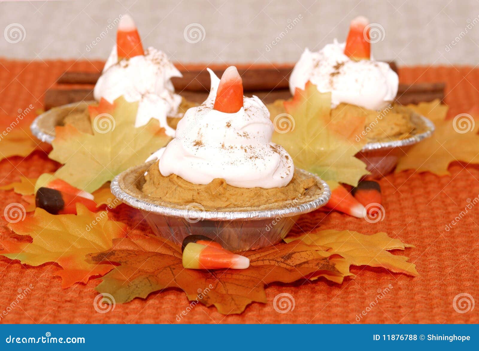 Pumpkin Pie Mini Trio stock photo. Image of snack, macro - 11876788