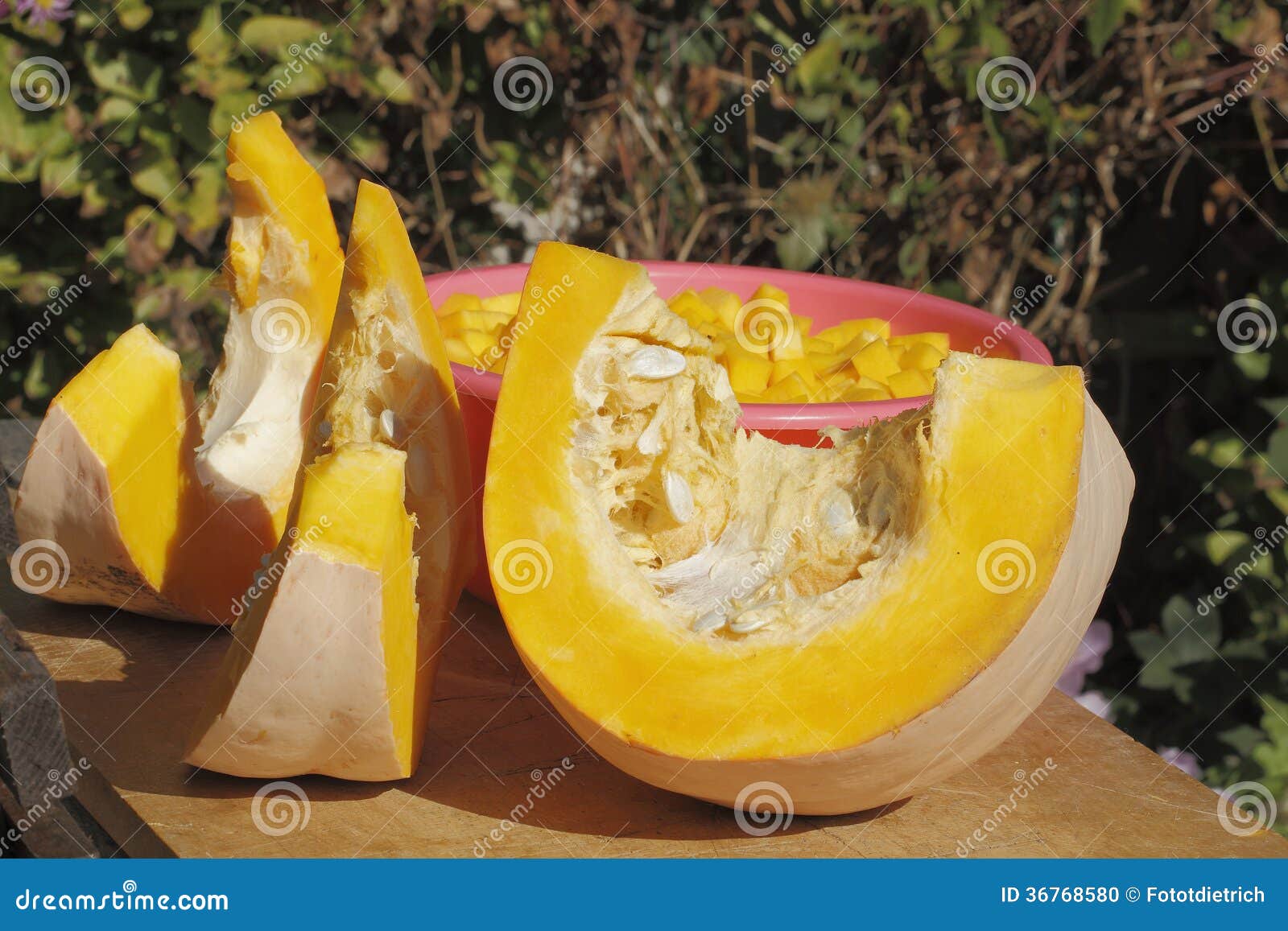 Pumpkin stock photo. Image of garden, colorful, cutting - 36768580