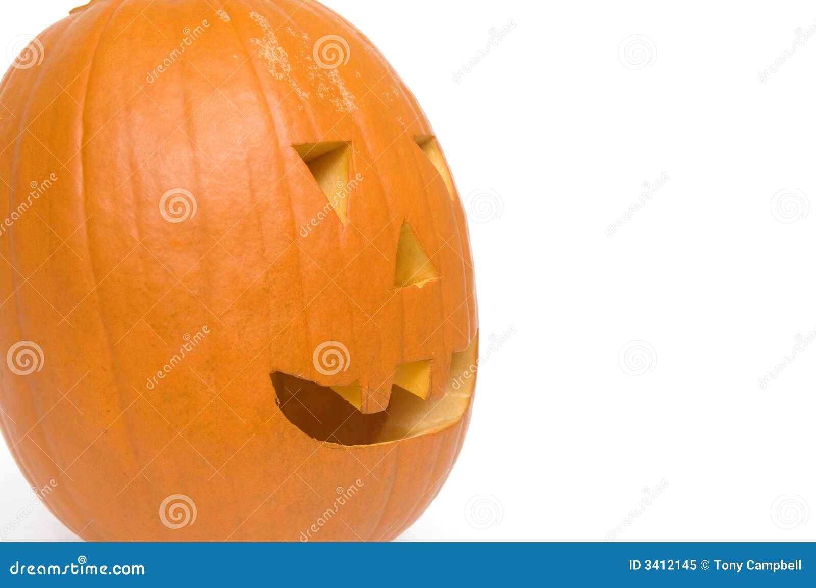 Pumpkin profile stock image. Image of harvest, halloween - 3412145