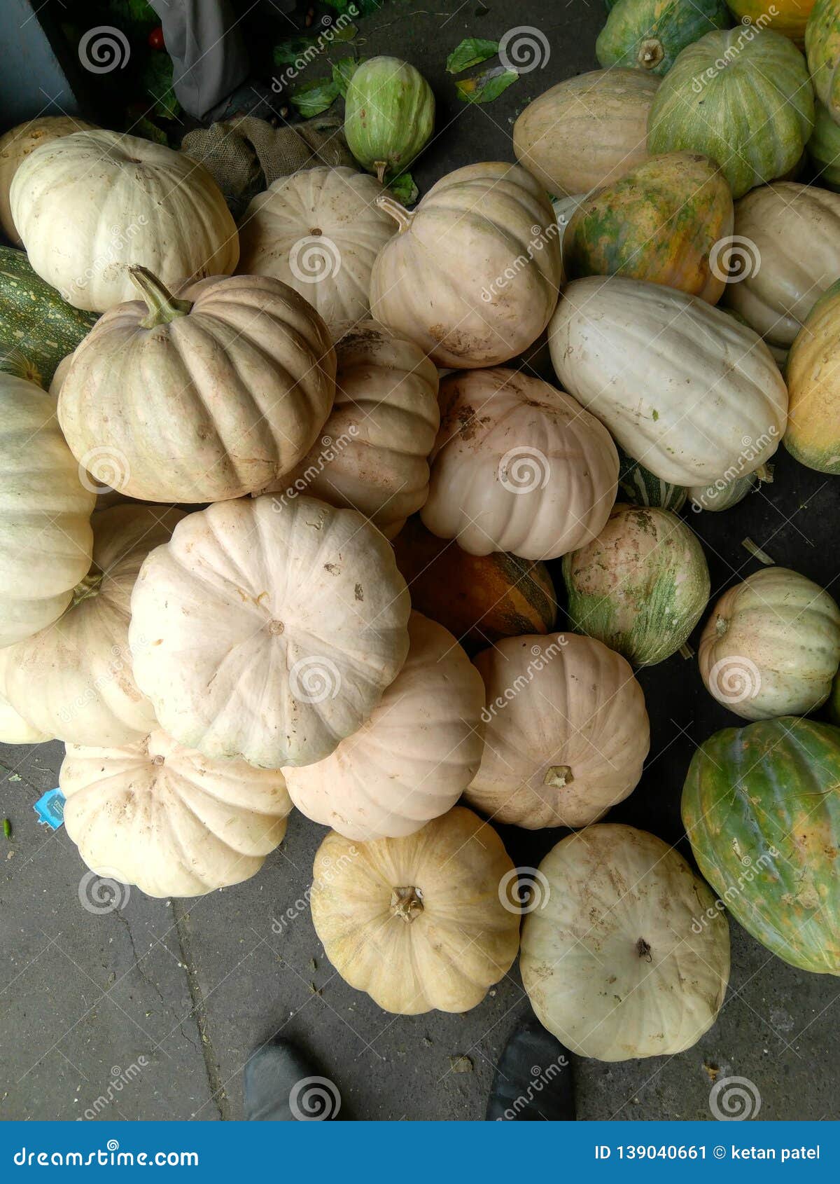 Pumpkin stock image. Image of muskmelon, tarbuja, pumpkin - 139040661