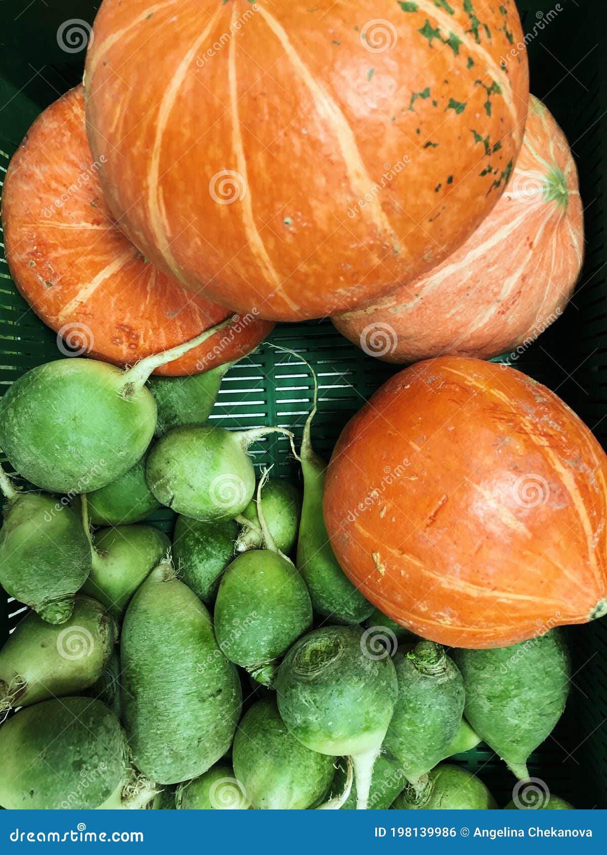Pumpkin and Radish on the Market Macro Stock Photo - Image of macro ...