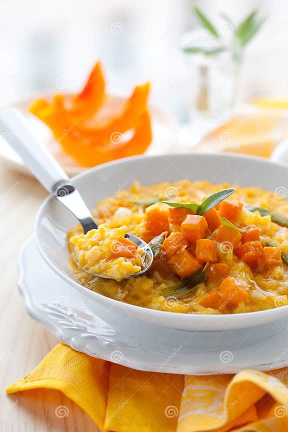 Pumpkin risotto stock photo. Image of parmesan, lunch - 20444008