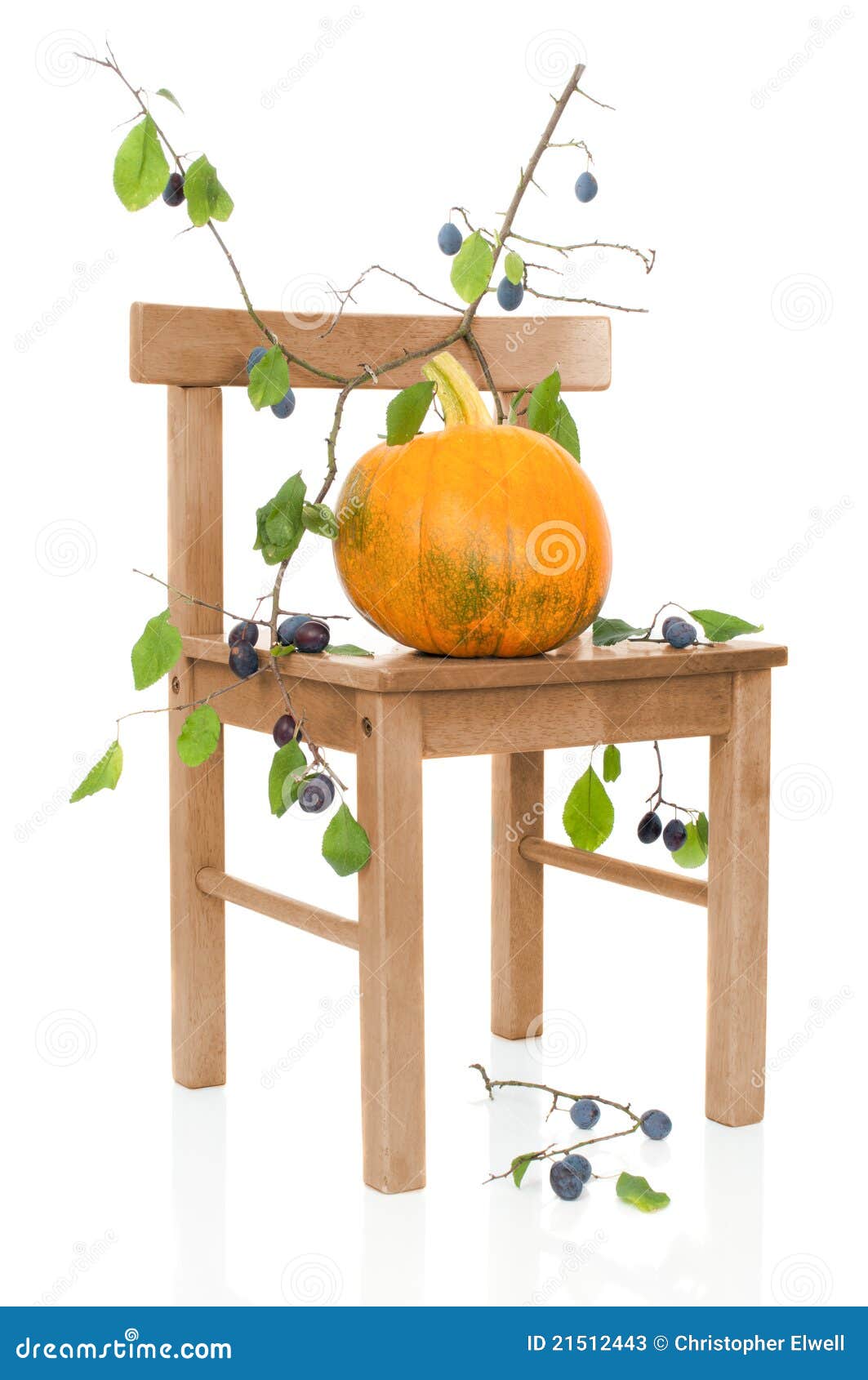 Pumpkin on Rustic Chair stock image. Image of orchard - 21512443