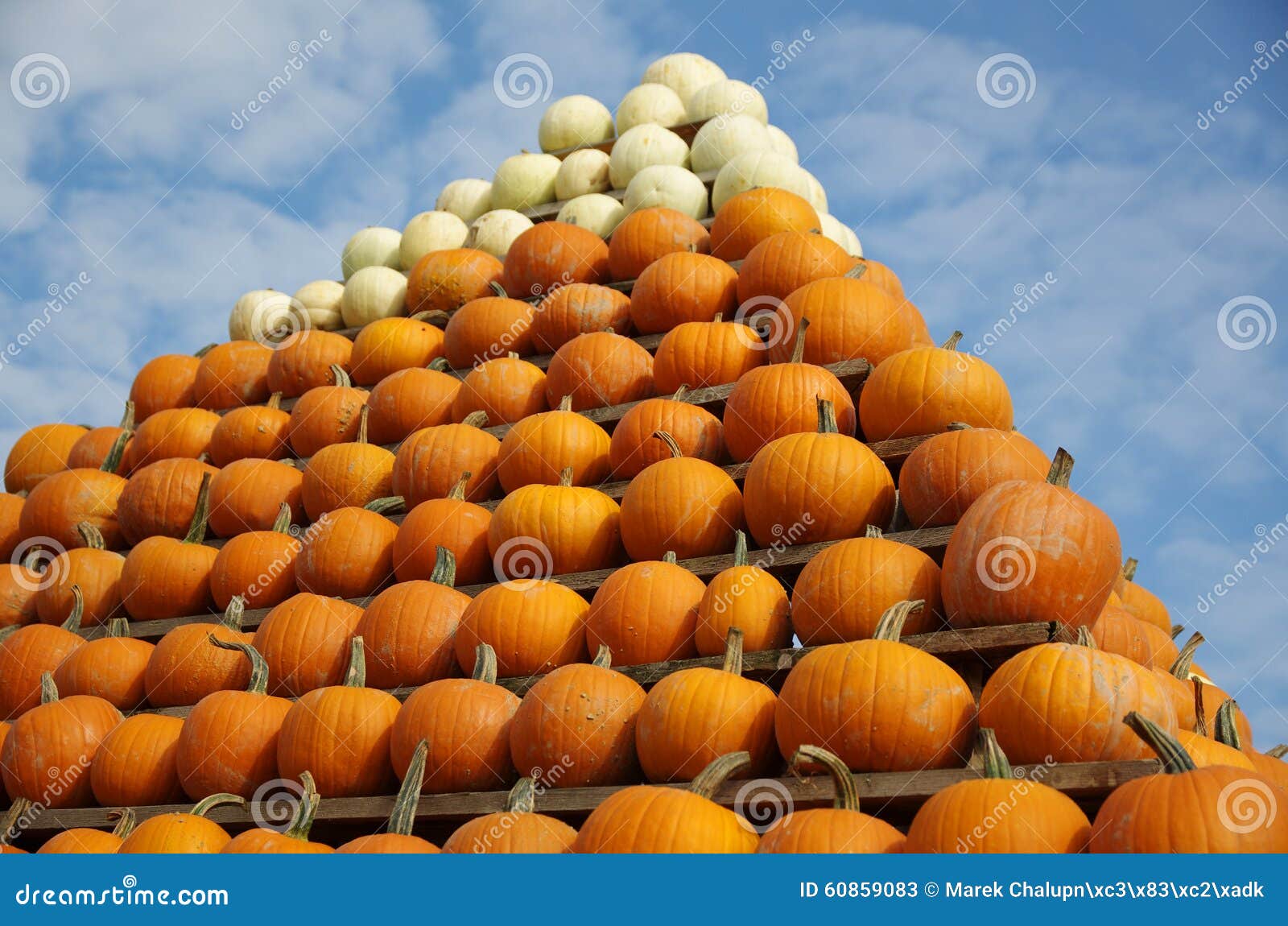 Pumpkin s Pyramid stock image. Image of harvest, orange - 60859083