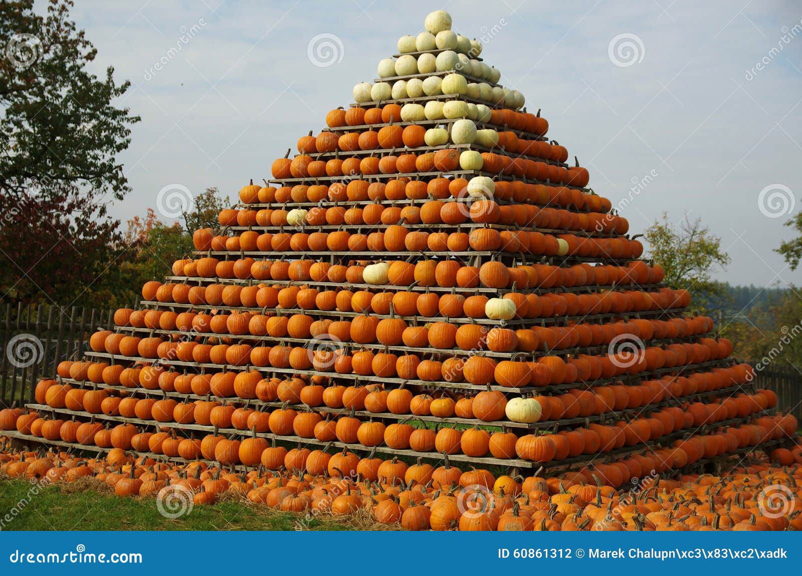 Pumpkin s Pyramid stock photo. Image of patch, landscape - 60861312