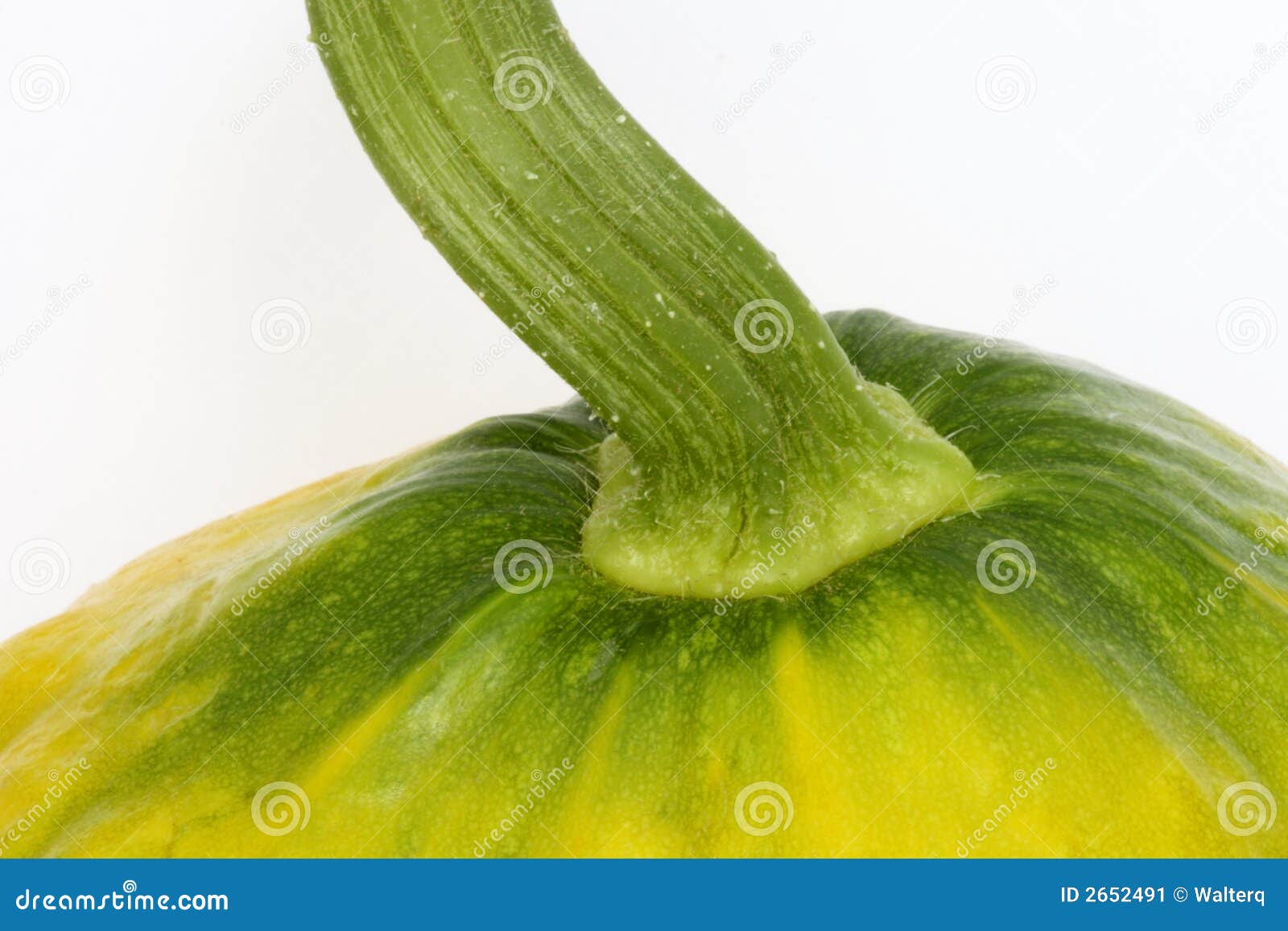 Pumpkin s Stalk stock image. Image of holiday, healthy - 2652491