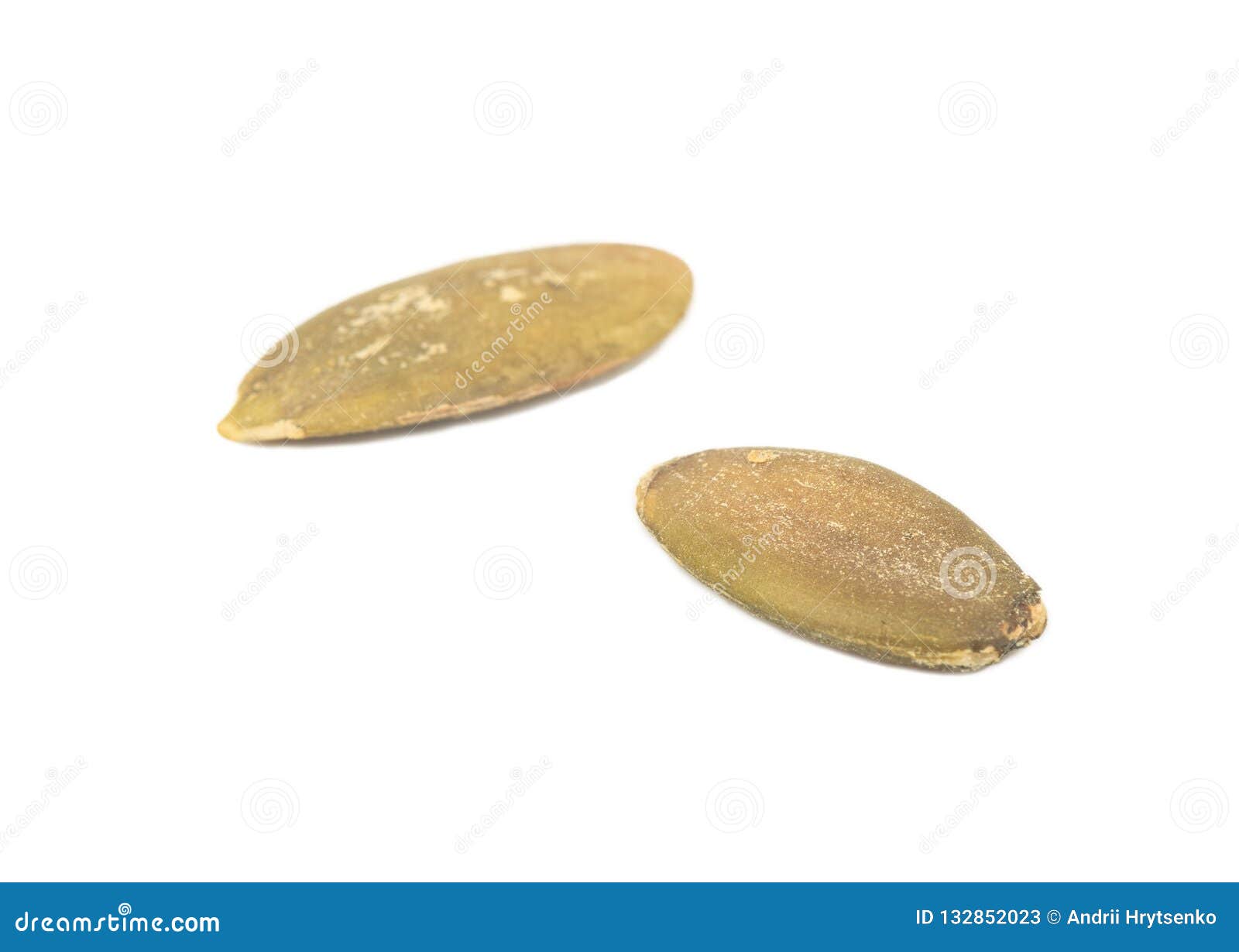 Pumpkin seed kernels stock image. Image of background - 132852023