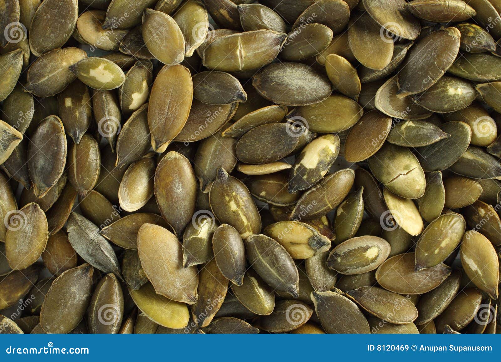 Pumpkin seed texture stock image. Image of green, nutrition - 8120469