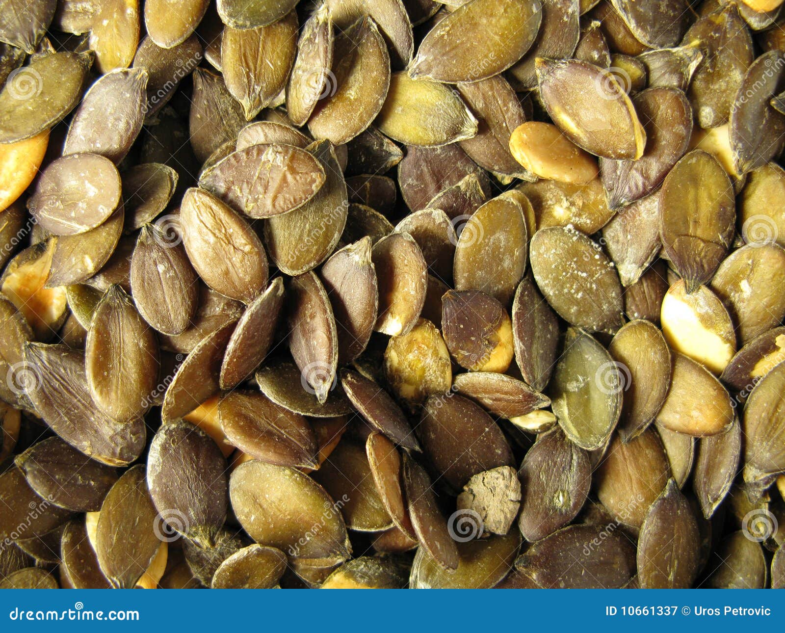 Pumpkin seeds stock image. Image of fresh, flat, details - 10661337