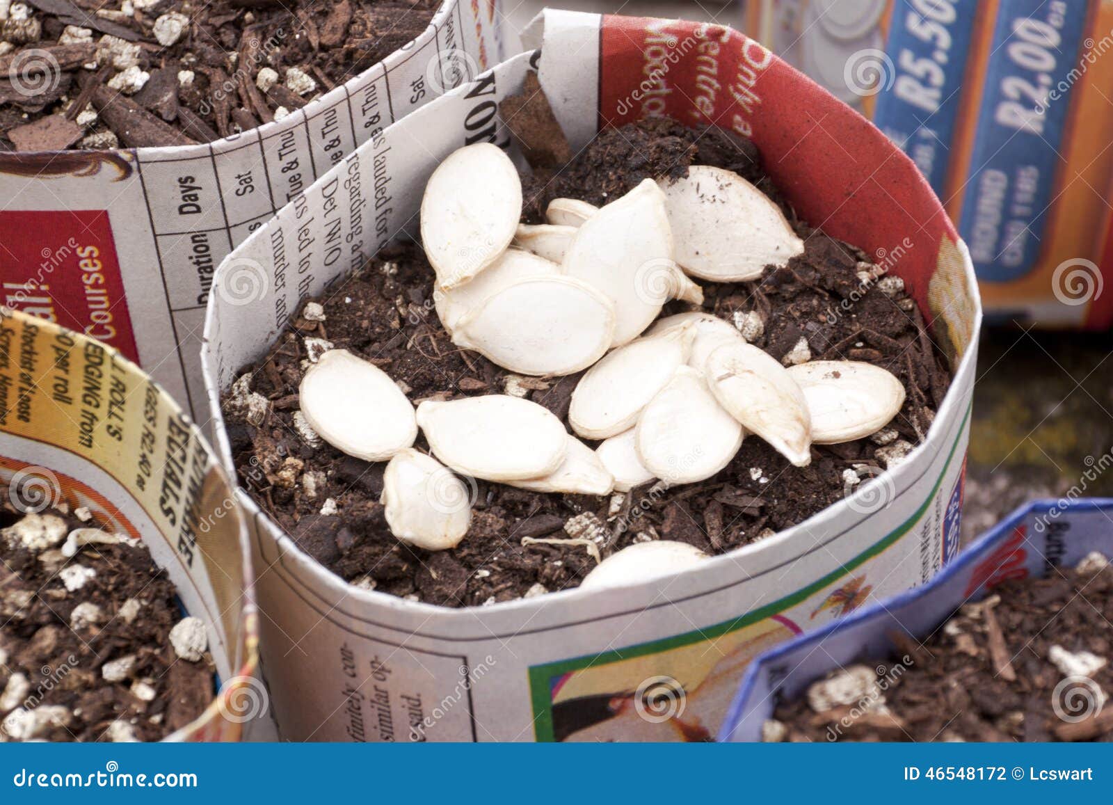 Biodegradable Newspaper Stock Photos - Free & Royalty-Free Stock Photos ...