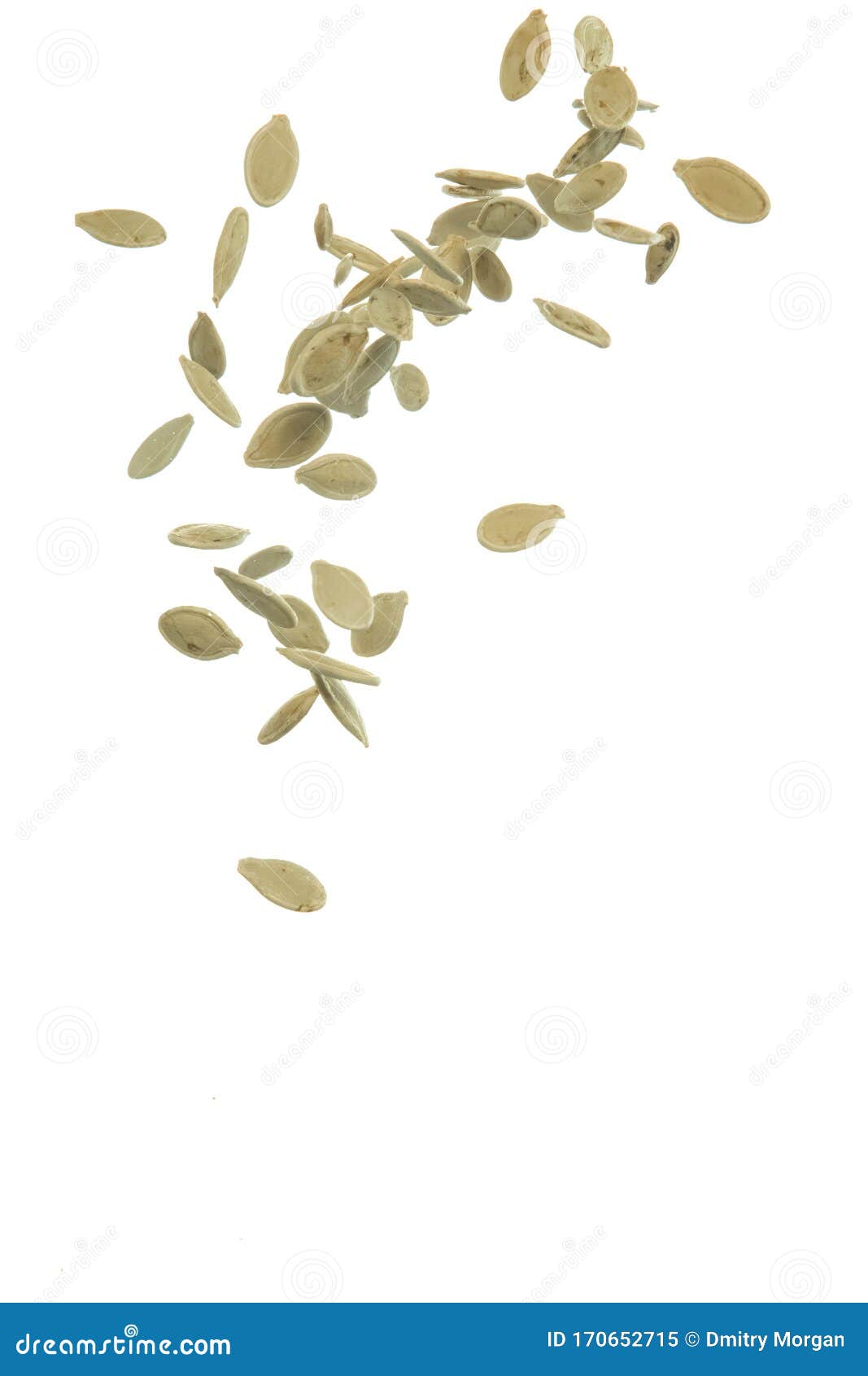 Pumpkin Seeds Falling in Free Motion Bulk. Isolated Over White ...