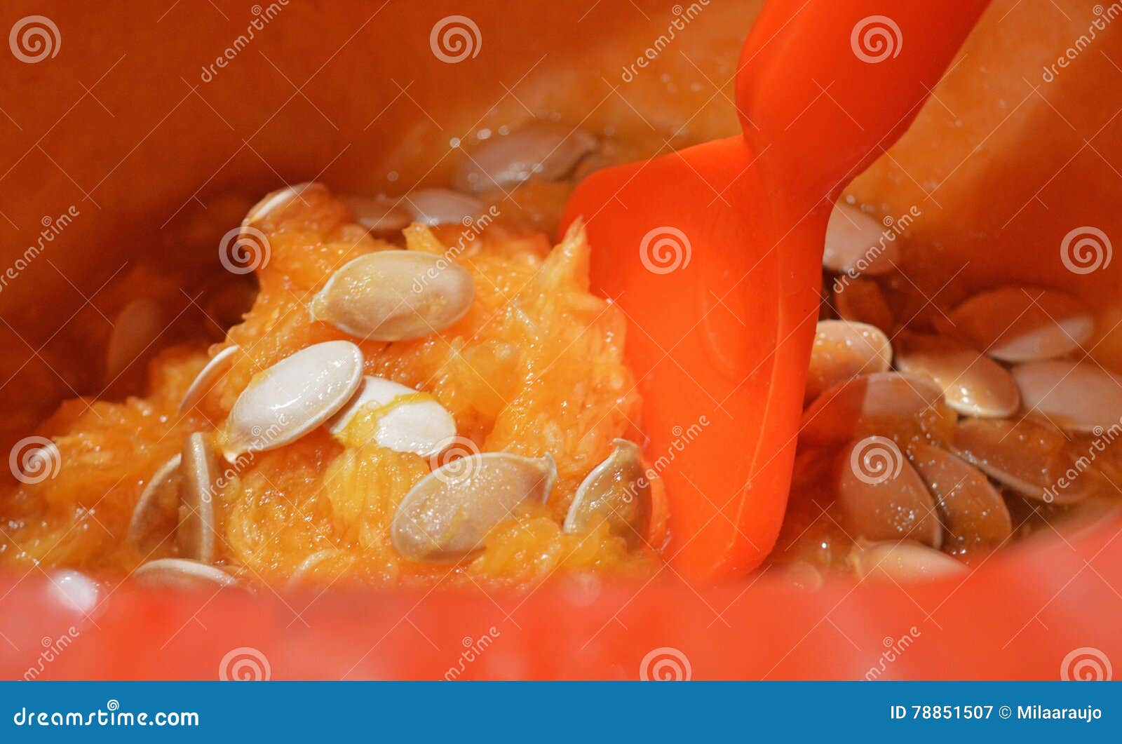 823 Pumpkin Seed Pulp Stock Photos - Free & Royalty-Free Stock Photos ...