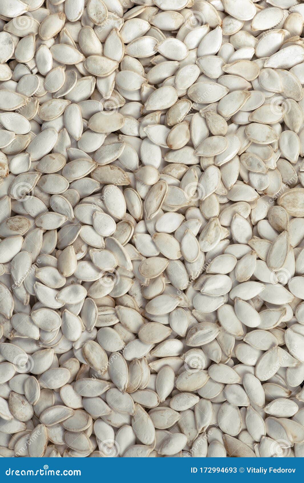 Pumpkin Seeds in Shell. Background and Texture Stock Image - Image of ...