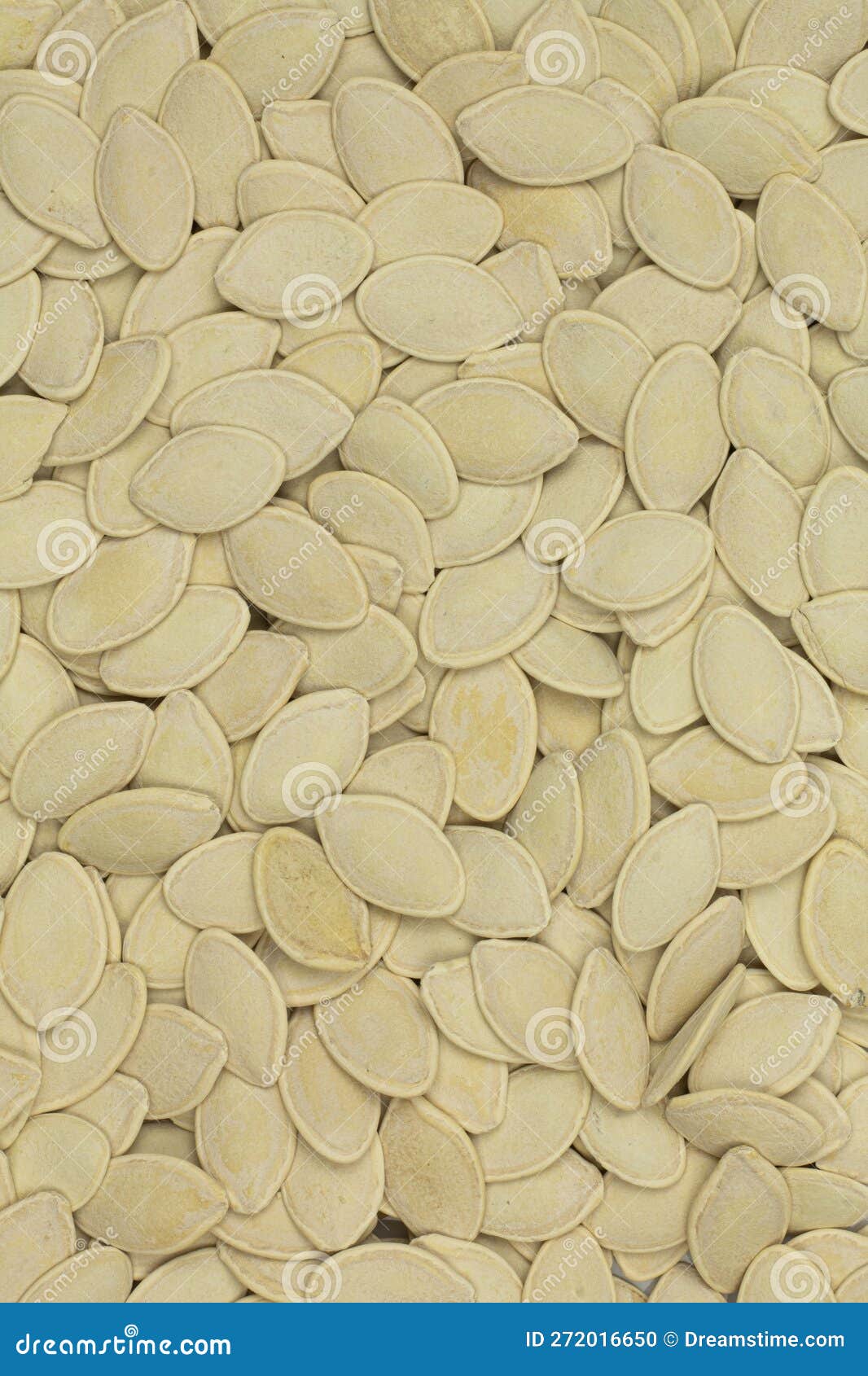 Pumpkin Seeds in Shell Full Frame Background Texture Stock Photo ... Pumpkin Seeds in Shell Full Frame Background Texture Stock Photo ...
