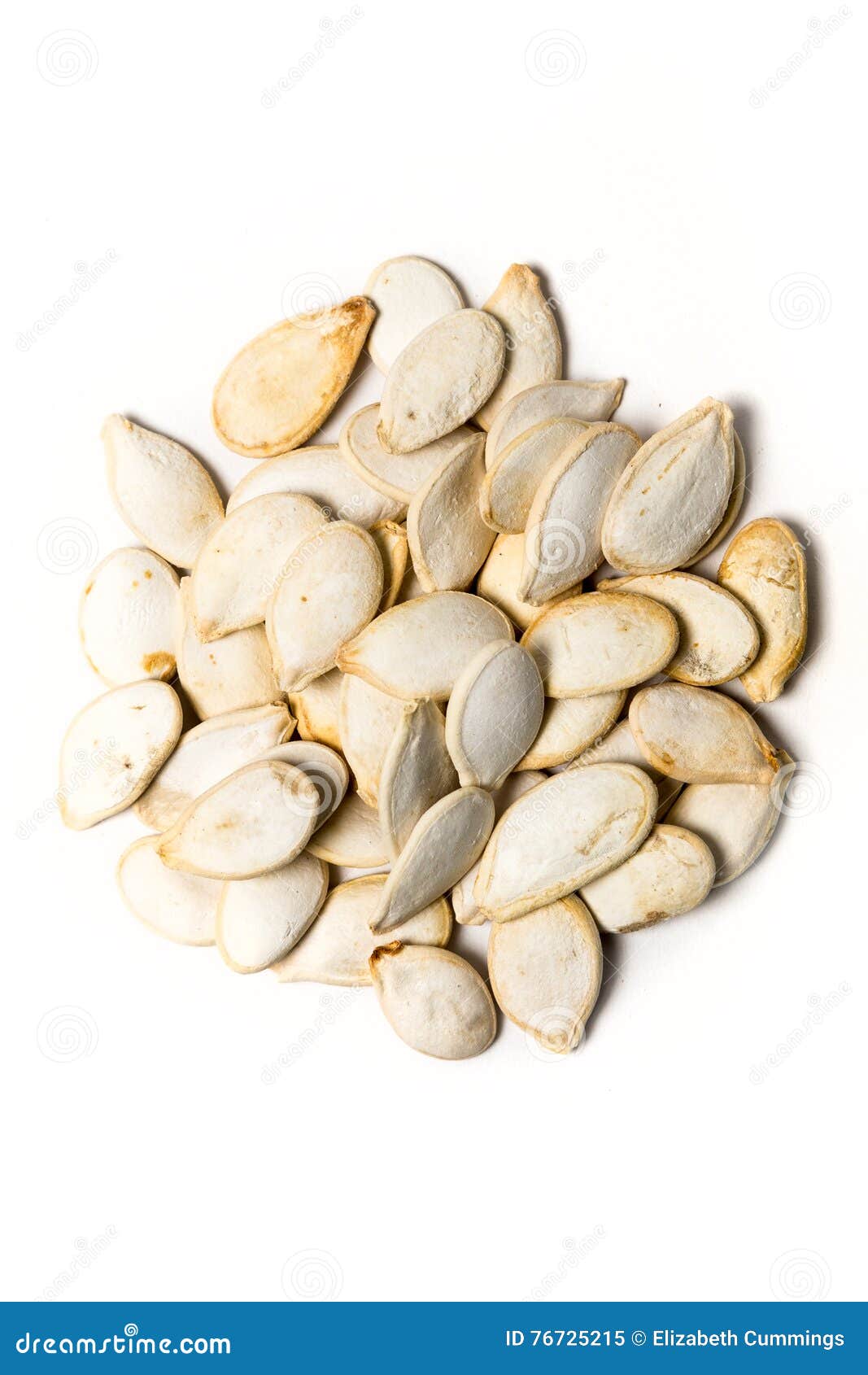 Pumpkin seeds in shell stock image. Image of background - 76725215