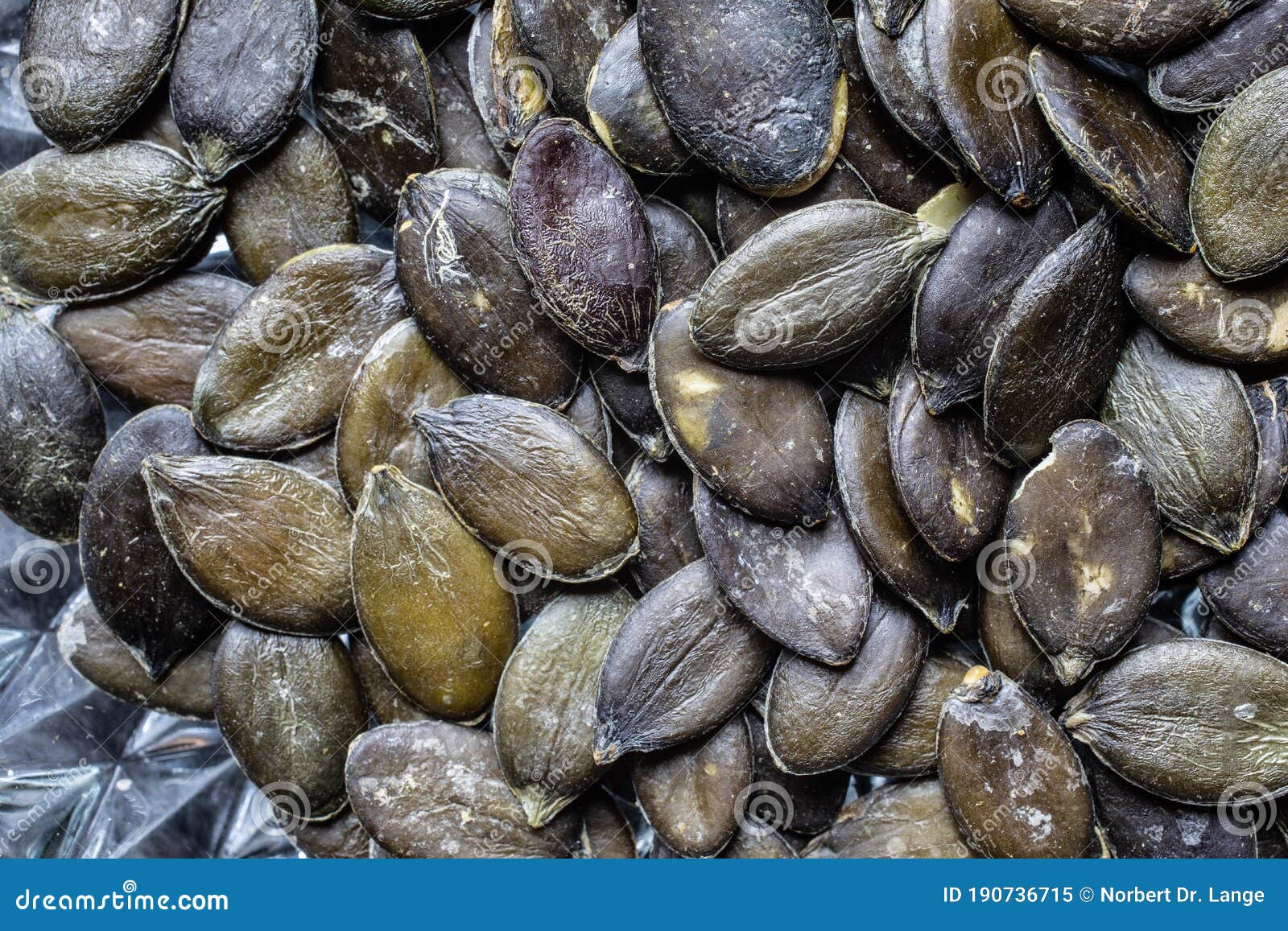 Pumpkin Seeds Under the Magnifying Glass Stock Image - Image of heap ...