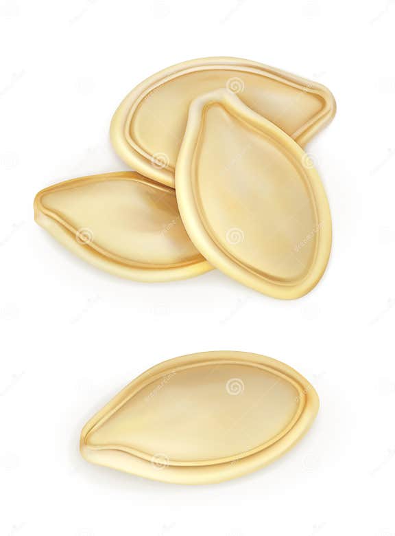 Pumpkin seeds, vector icon stock vector. Illustration of natural - 66534219