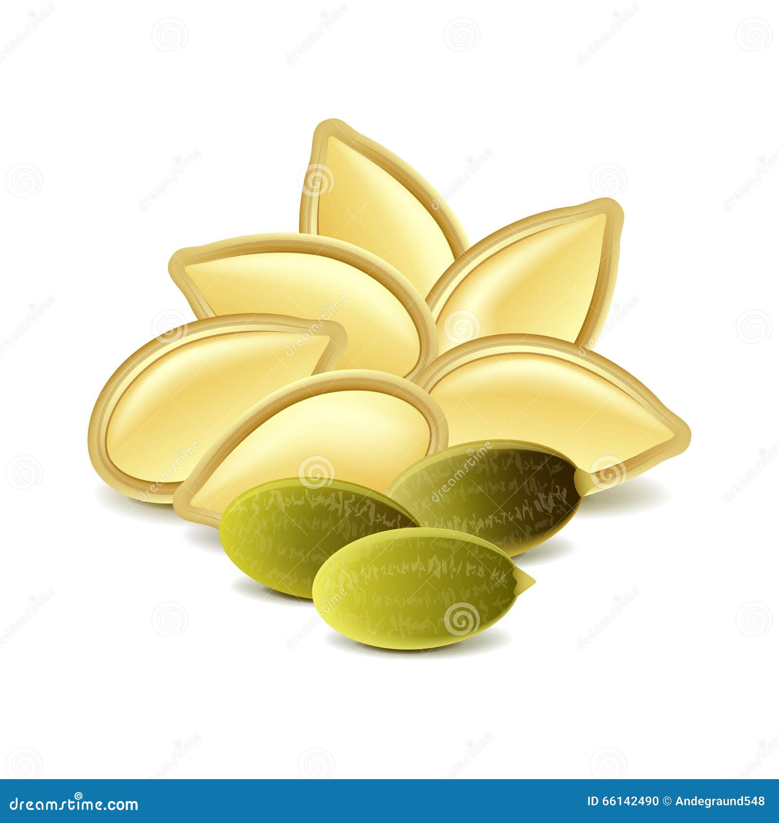 Pumpkin Seeds on White Vector Stock Vector - Illustration of organic ...