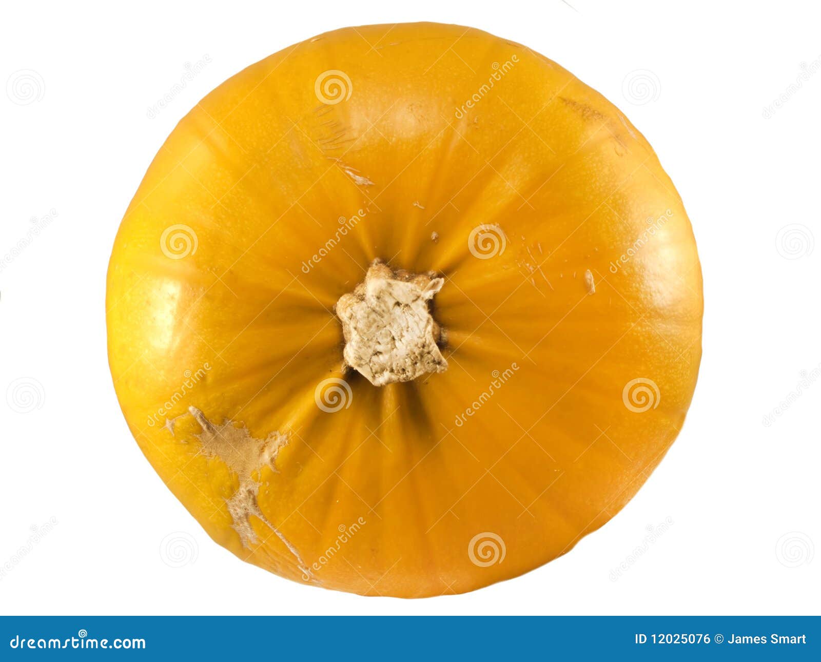 Pumpkin Side stock photo. Image of food, pumpkin, shadow - 12025076