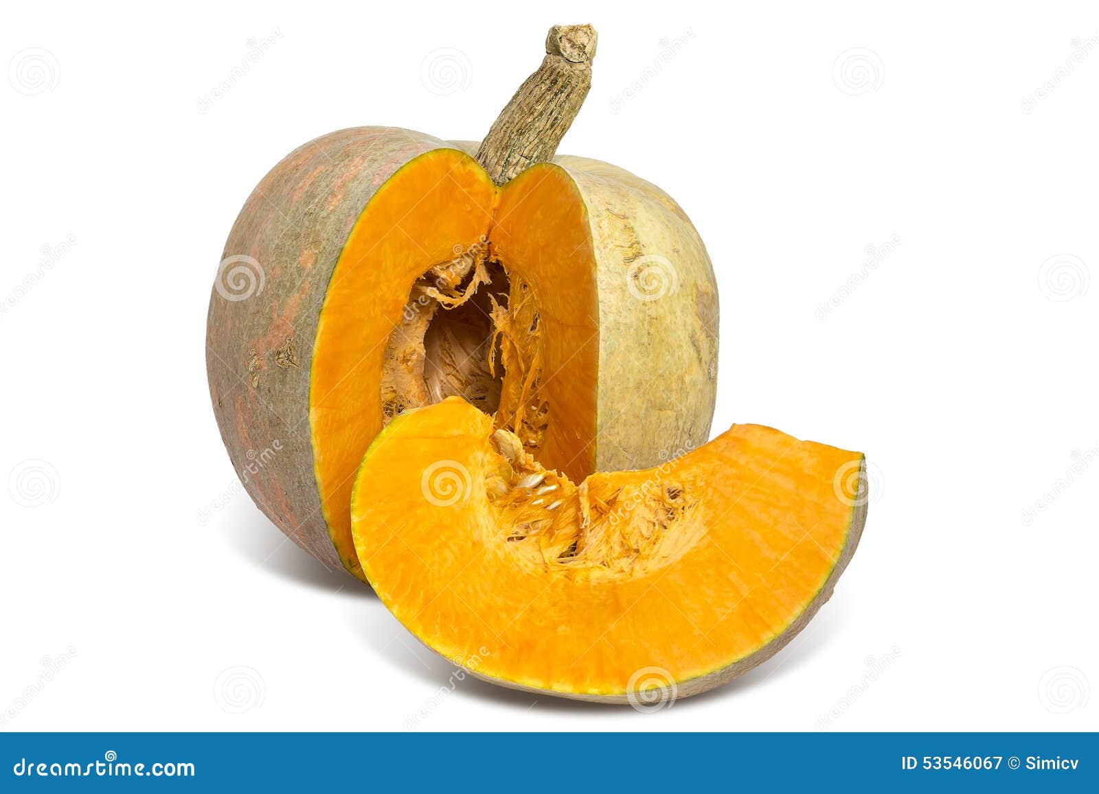 Pumpkin stock image. Image of pumpkin, nature, november - 53546067