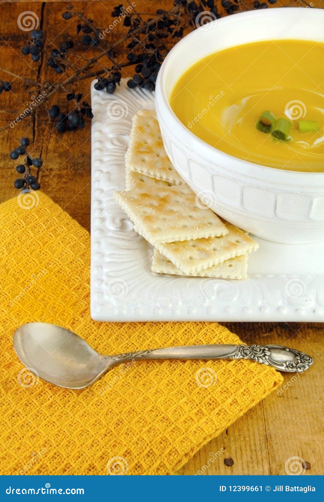 Pumpkin Soup with Crackers stock image. Image of lunch - 12399661
