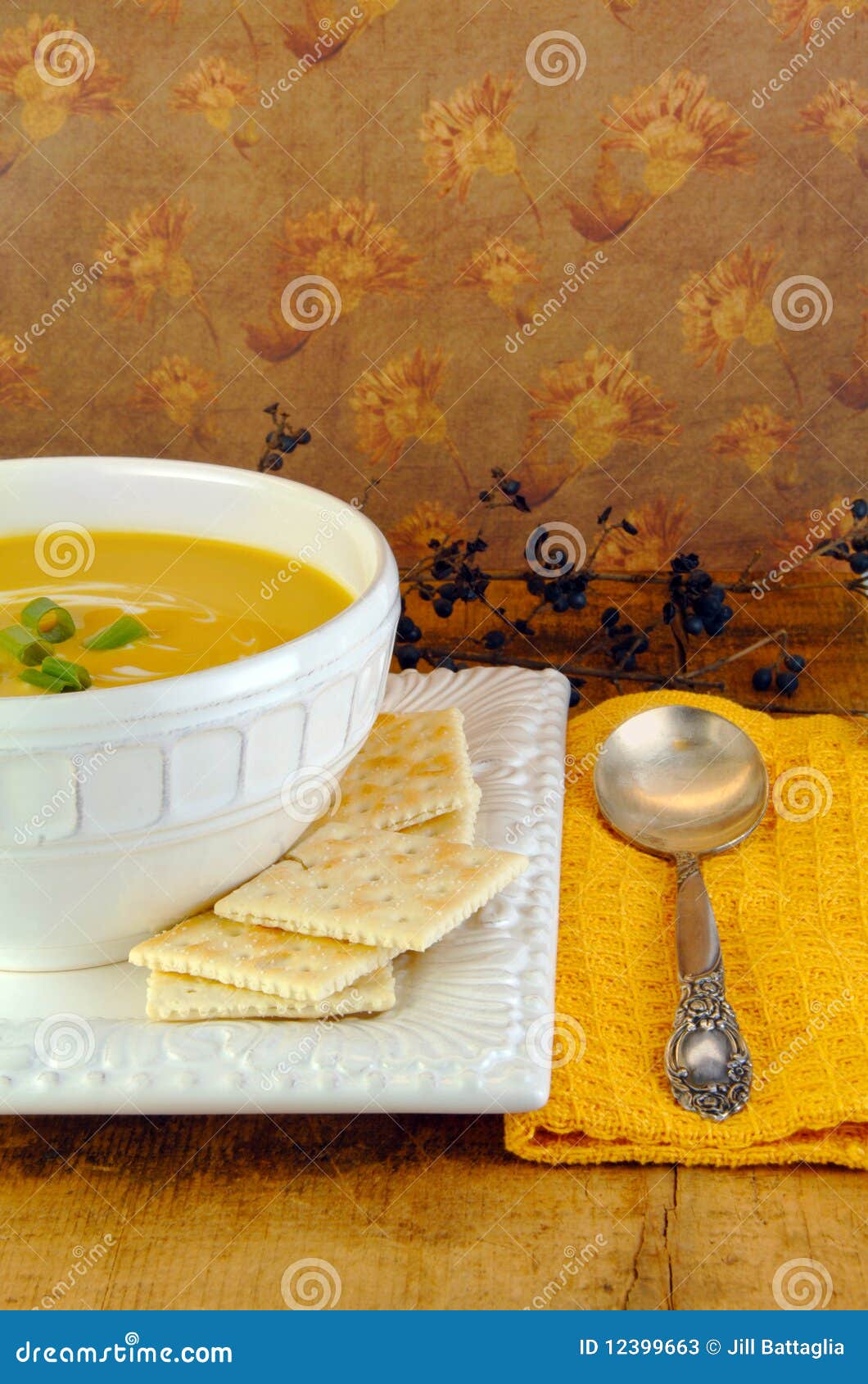 Pumpkin Soup with Crackers stock image. Image of meal - 12399663