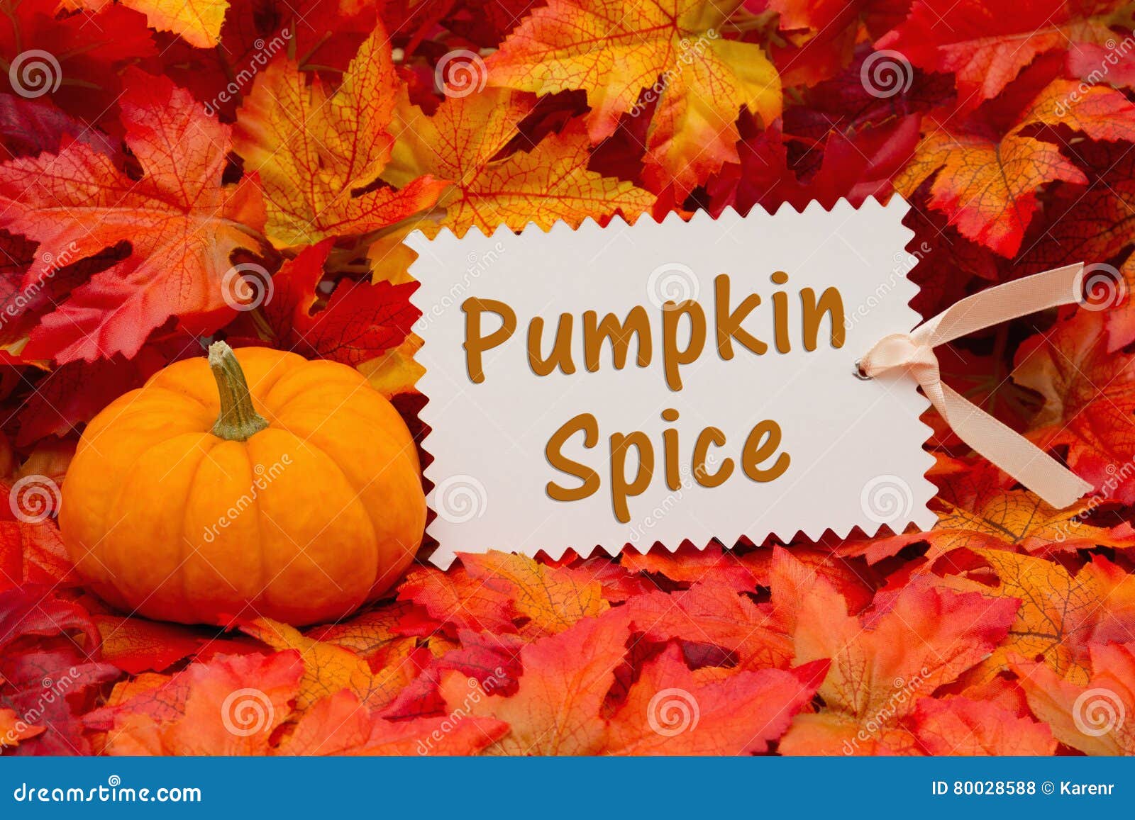 Pumpkin spice message stock photo. Image of concept, seasonal - 80028588