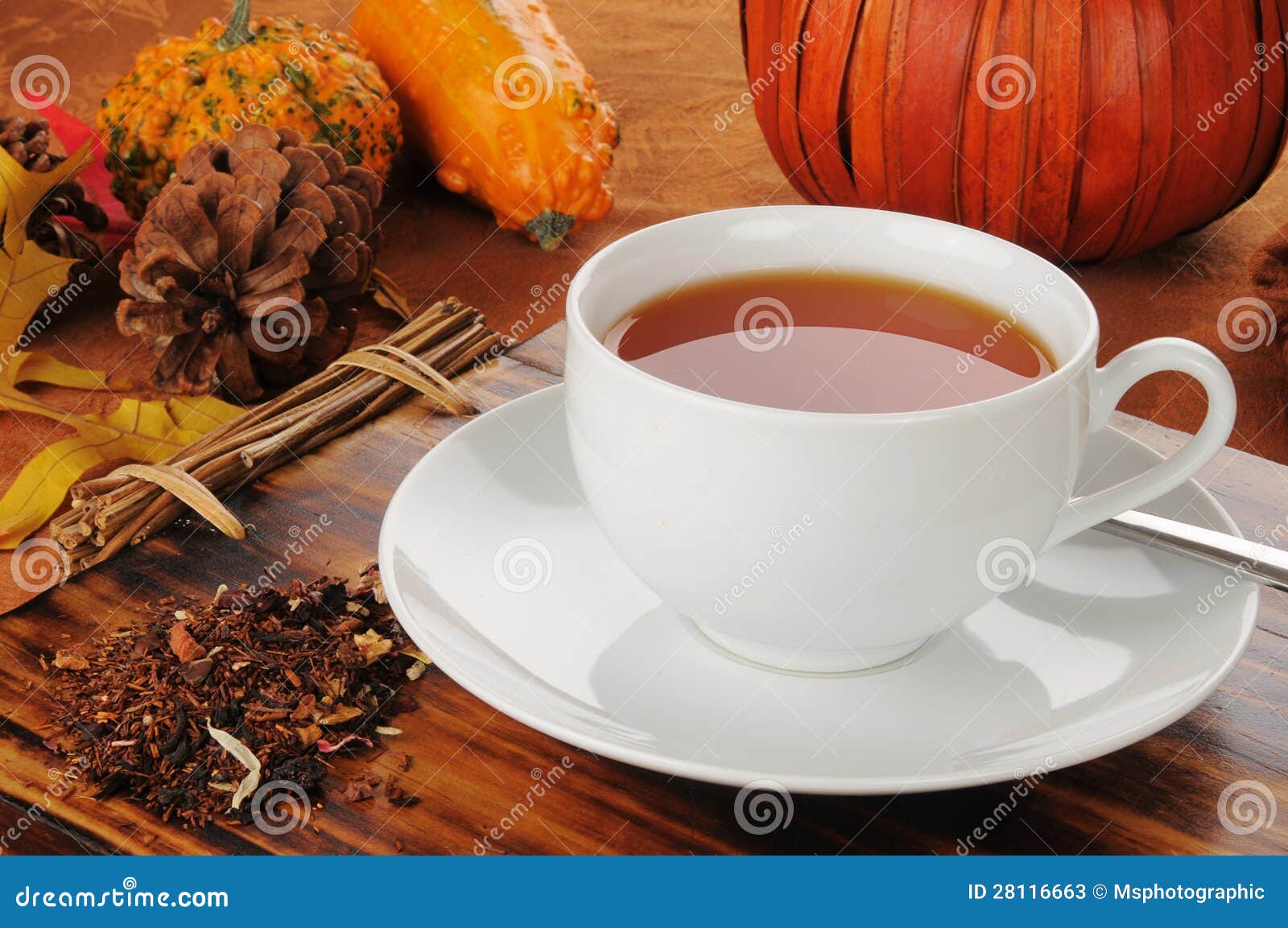Pumpkin spice rooibos tea stock image. Image of beverage - 28116663