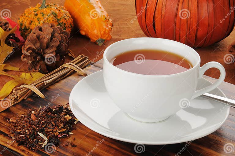 Pumpkin spice rooibos tea stock image. Image of beverage - 28116663