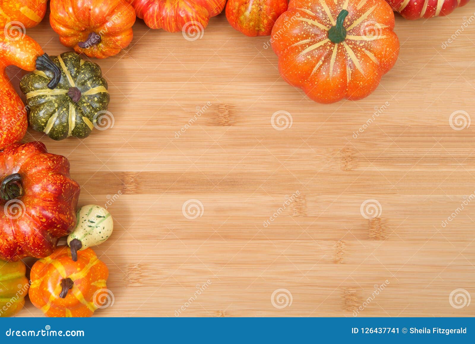 Pumpkin and Squash Border on Light Wood Surface with Copy Space Stock ...