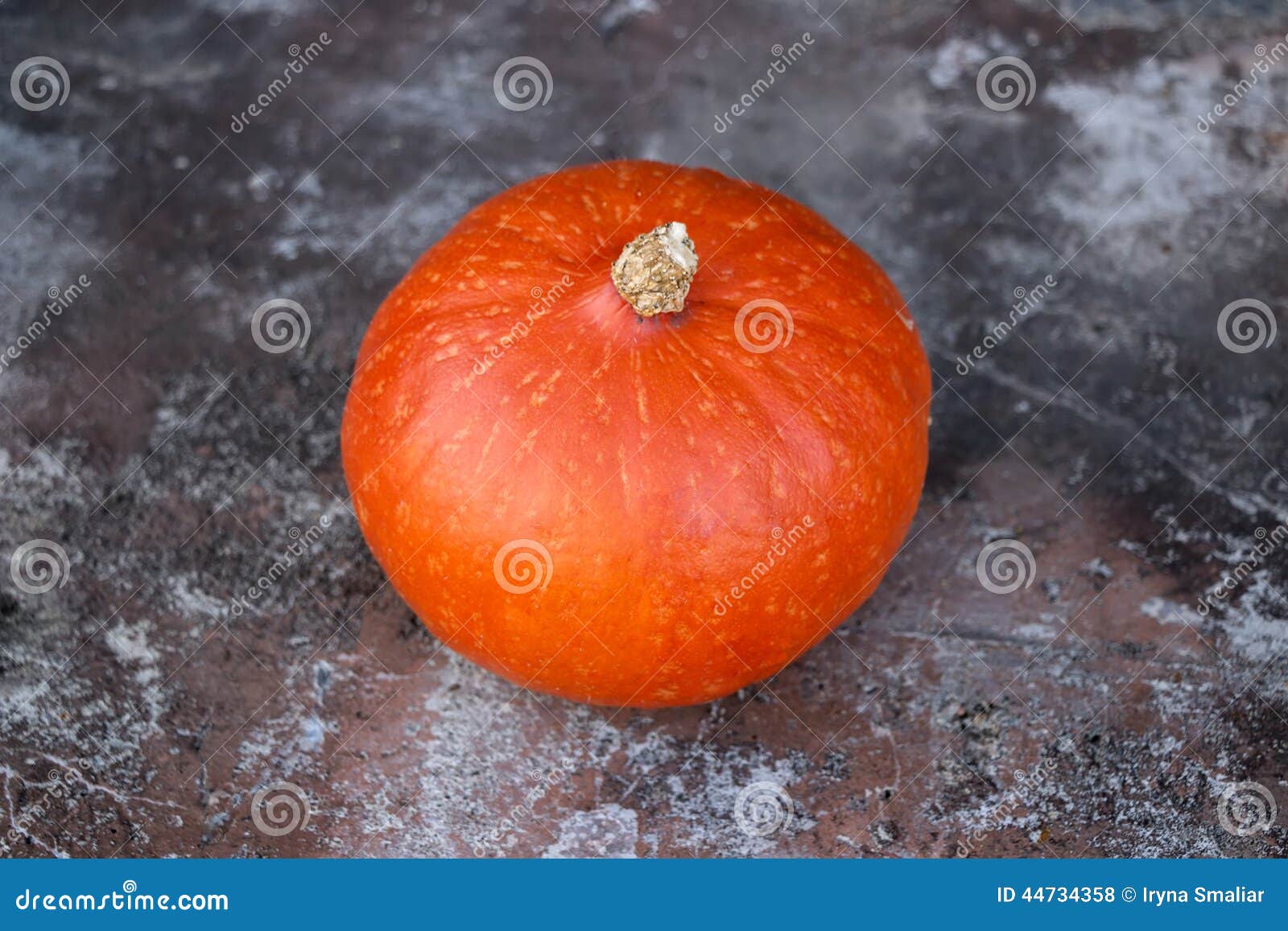 Pumpkin or squash stock photo. Image of sweet, ready - 44734358