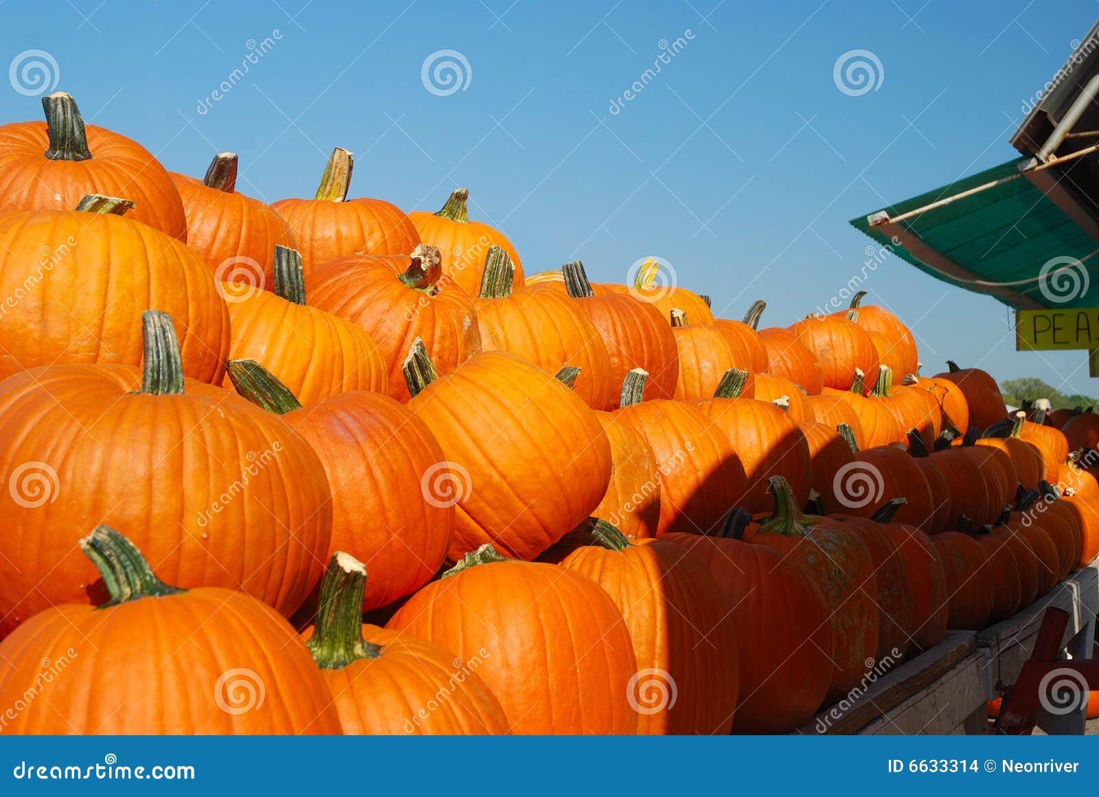 Pumpkin Stack stock photo. Image of stack, halloween, agriculture - 6633314