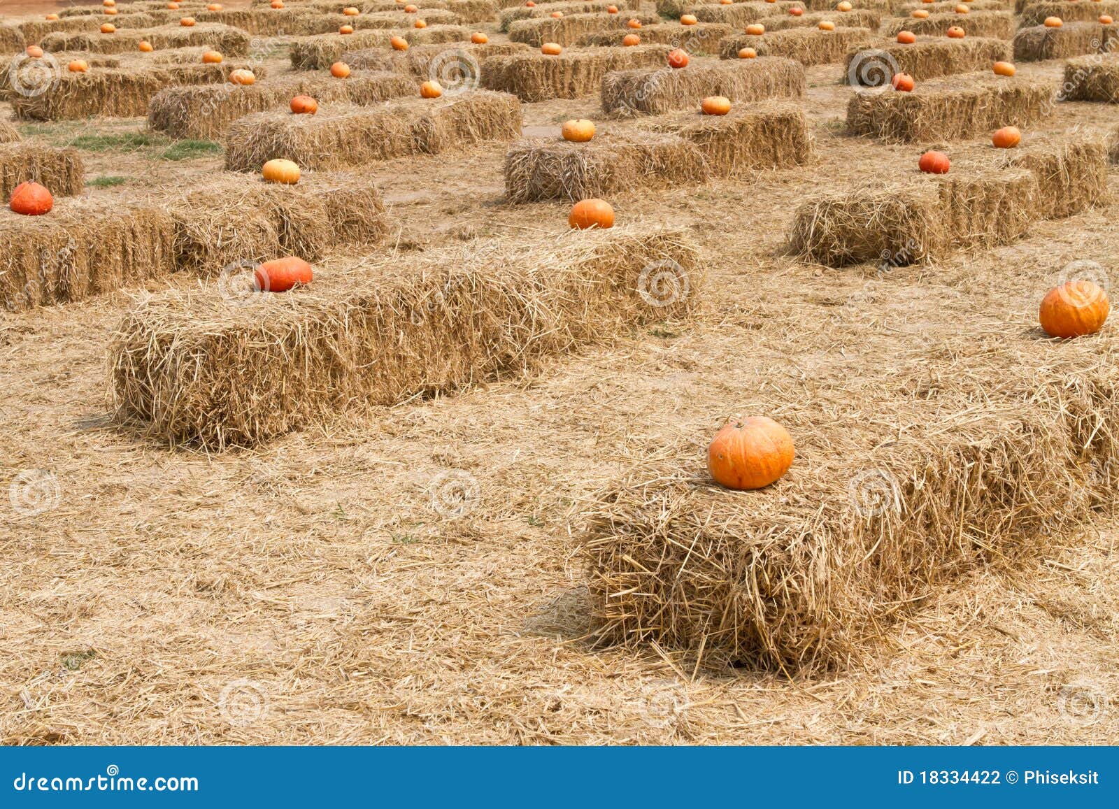 Pumpkin and straw stock photo. Image of color, close - 18334422