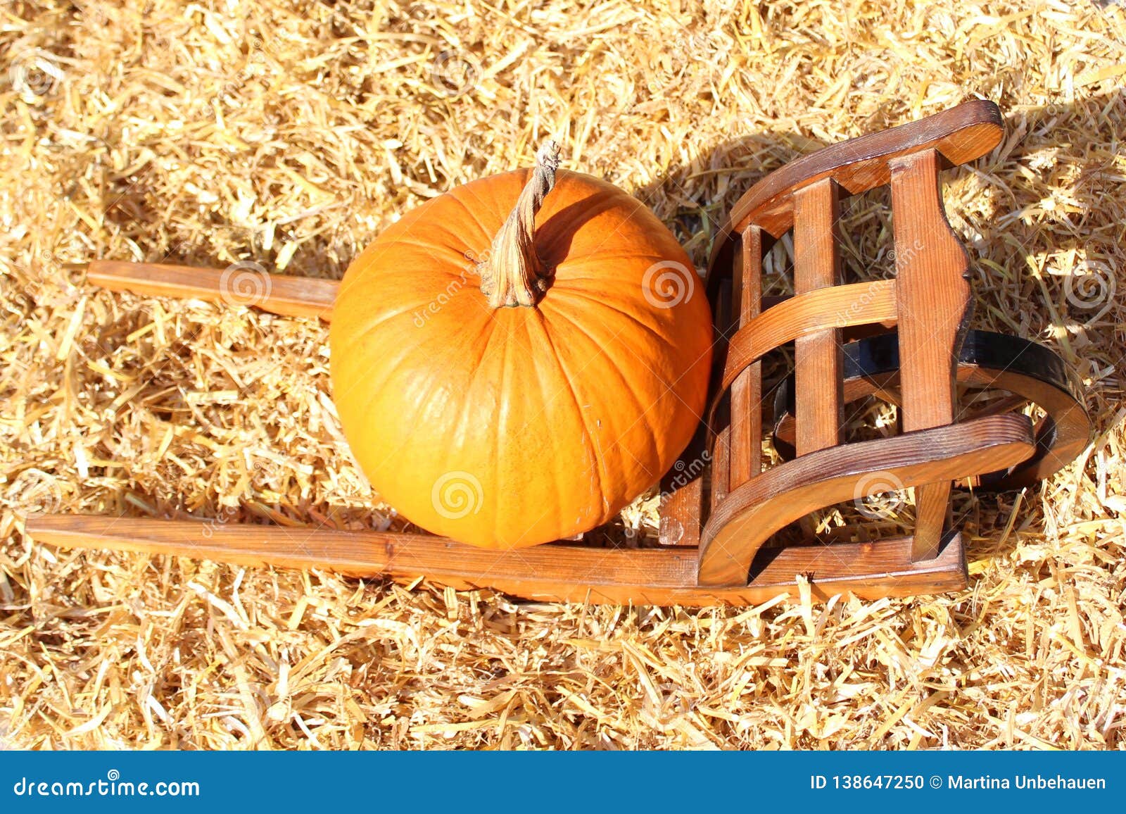 Pumpkin in the straw stock photo. Image of cucurbita - 138647250