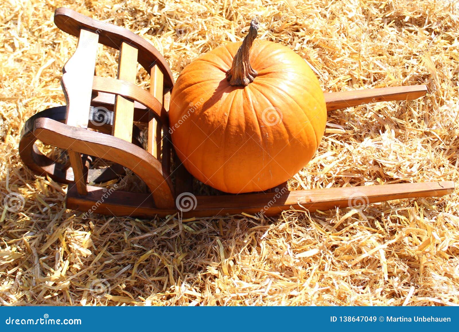 Pumpkin in the straw stock image. Image of straw, vegetables - 138647049