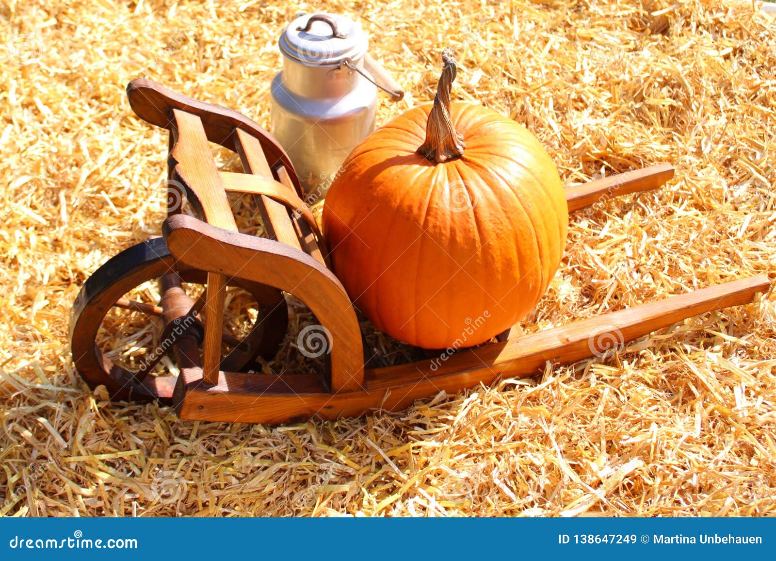 Pumpkin in the straw stock image. Image of squash, pumpkin - 138647249