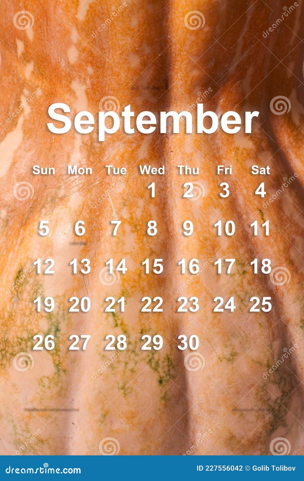 Pumpkin Surface and Monthly Calendar Stock Photo - Image of vegetable ...
